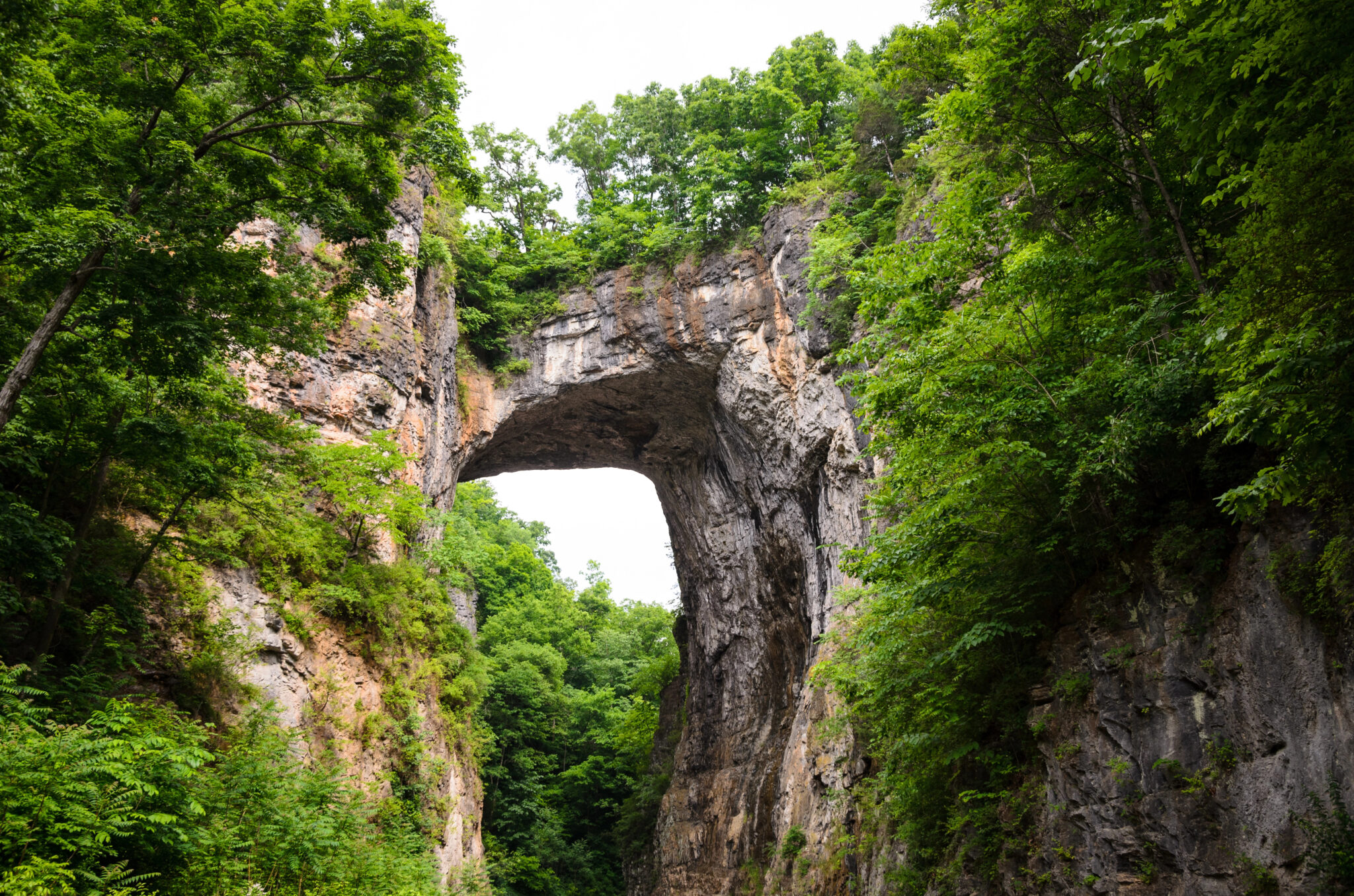 A Bridge Between Silos – Unstrange Mind